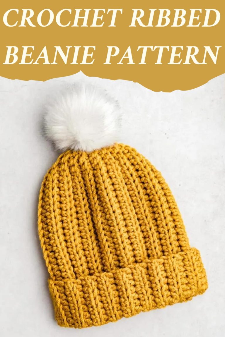 20 Free Easy Crochet Ribbed Beanie Patterns - All Crafts
