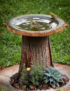 10 Incredible Bird Bath Ideas For Your Backyard - All Crafts